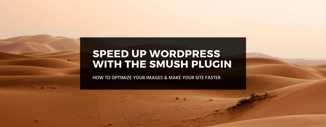 Faster WordPress Speeds with Smush Image Optimization