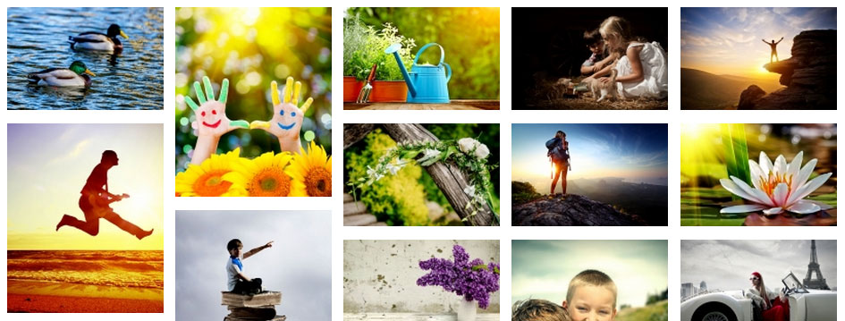 Create Beautiful Image Galleries with the Photo Gallery Plugin