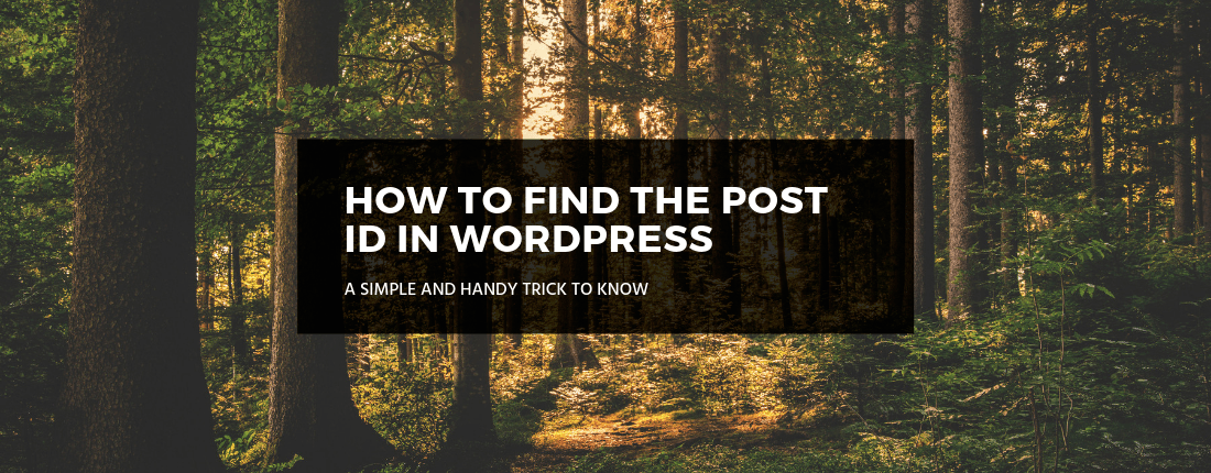 How to Find the Post ID in WordPress