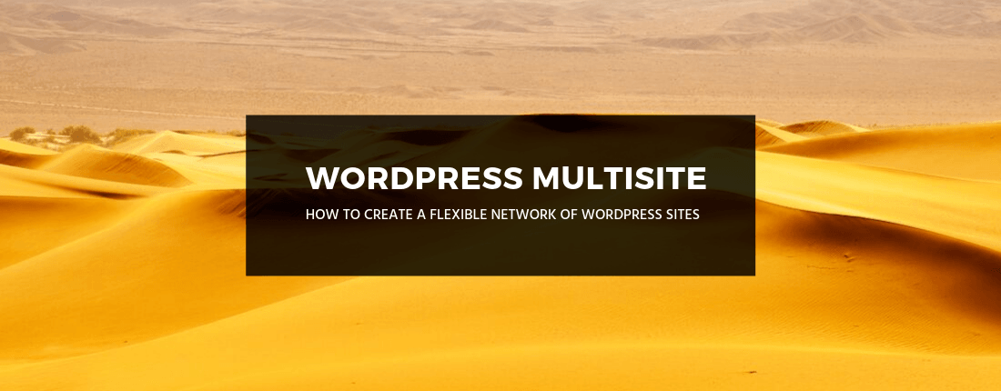 How to Set Up a WordPress Multisite Network - Pagely®