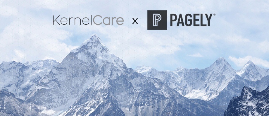 Reboot Be Gone With Kernelcare Pagely Pagely