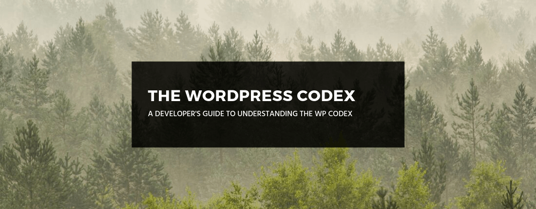 A Developer's Guide to the WordPress Codex