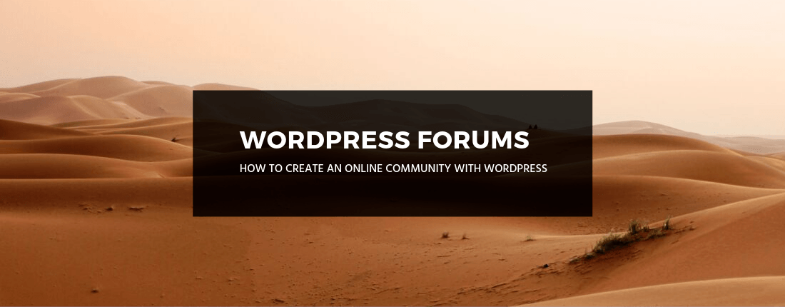 The Complete Guide to Running a WordPress Forum