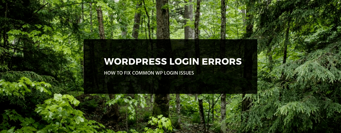 Common Wordpress Login Errors And How To Fix Them