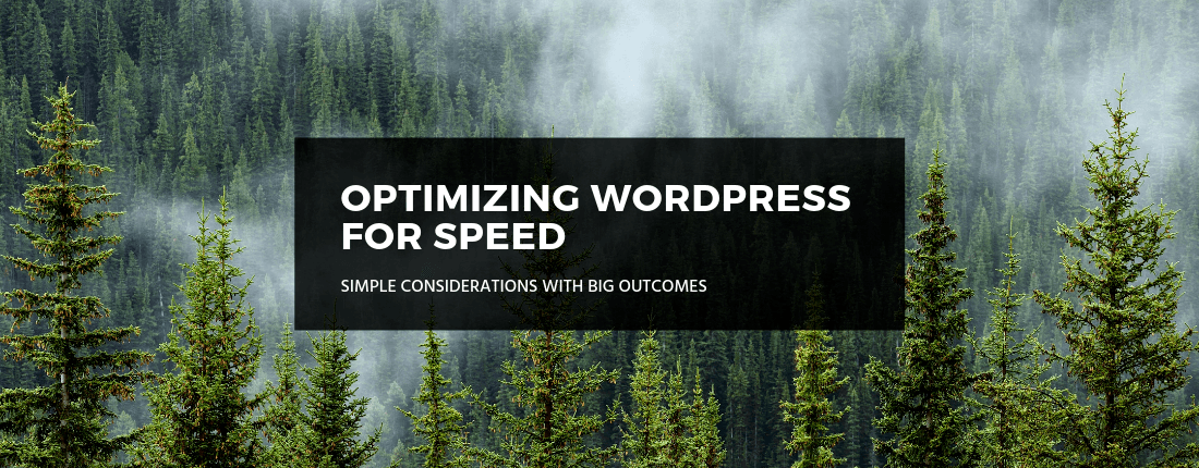 Optimizing Wordpress For Speed Pagely