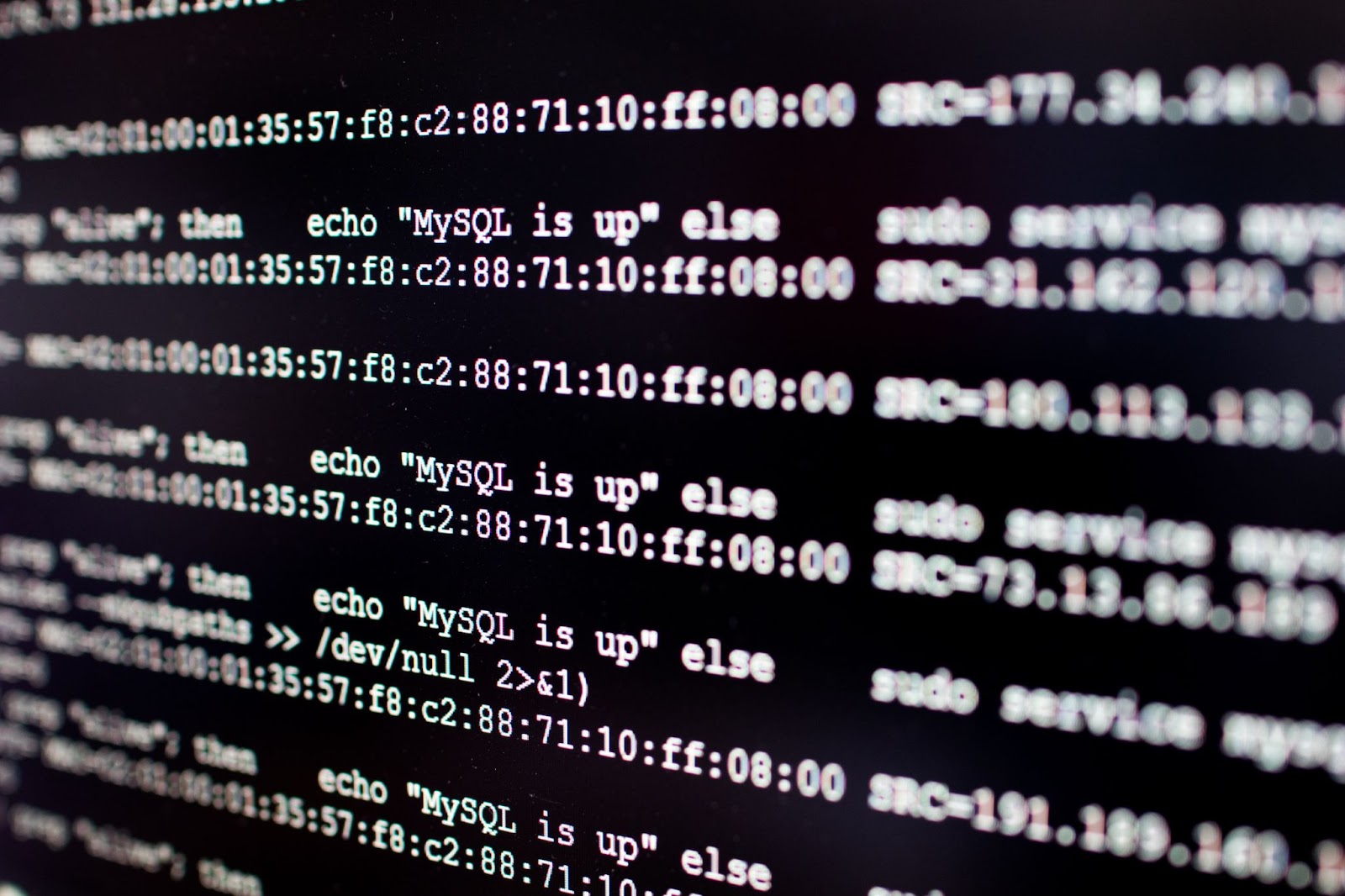 A Guide to Using WordPress Logs to Track Errors - Pagely